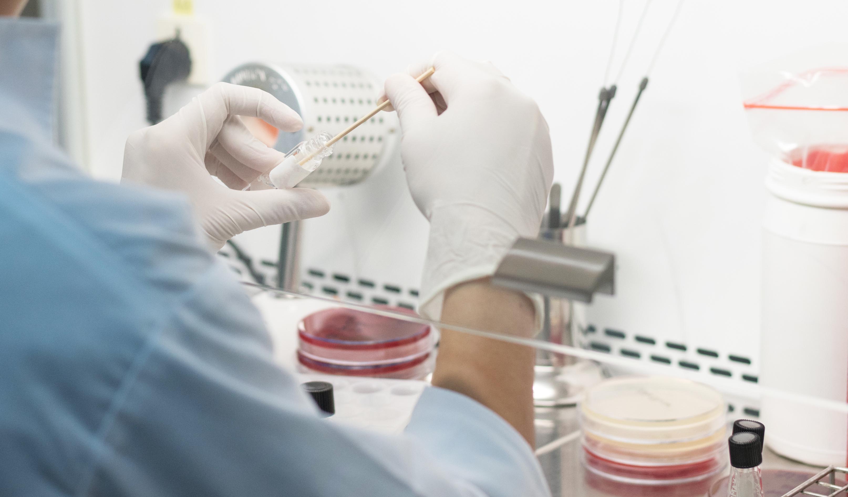 Summary of changes for female genital swab testing – Awanui Labs ...