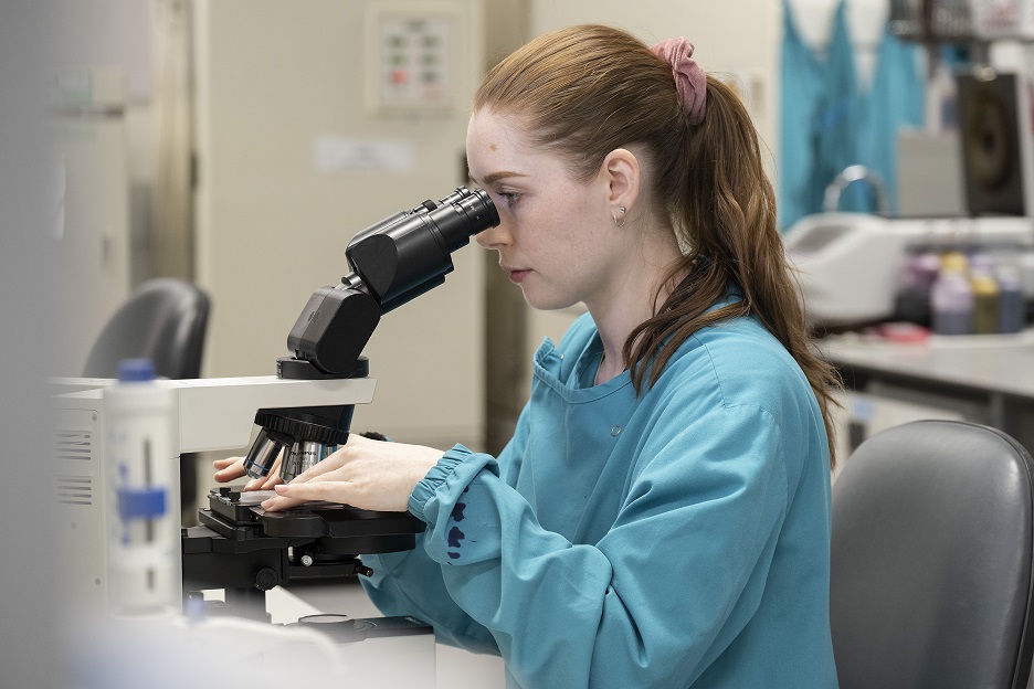 Clinical Data Repository (CDR) – Awanui Labs - Taranaki