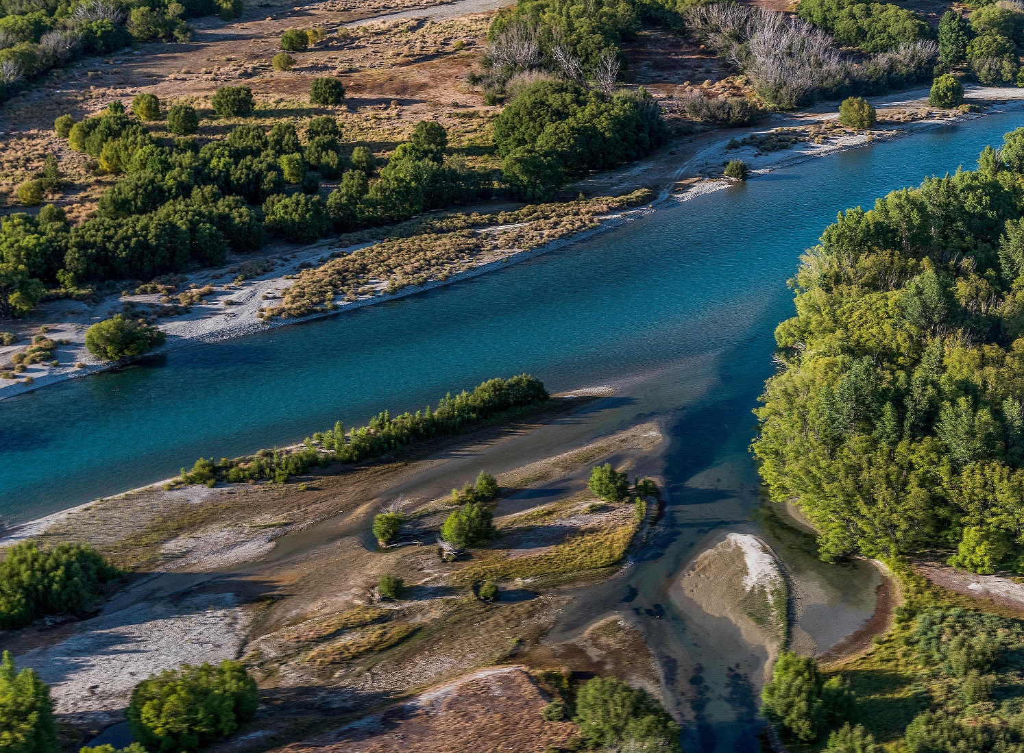 Our name is changing - introducing Awanui Labs – News – Awanui Labs ...