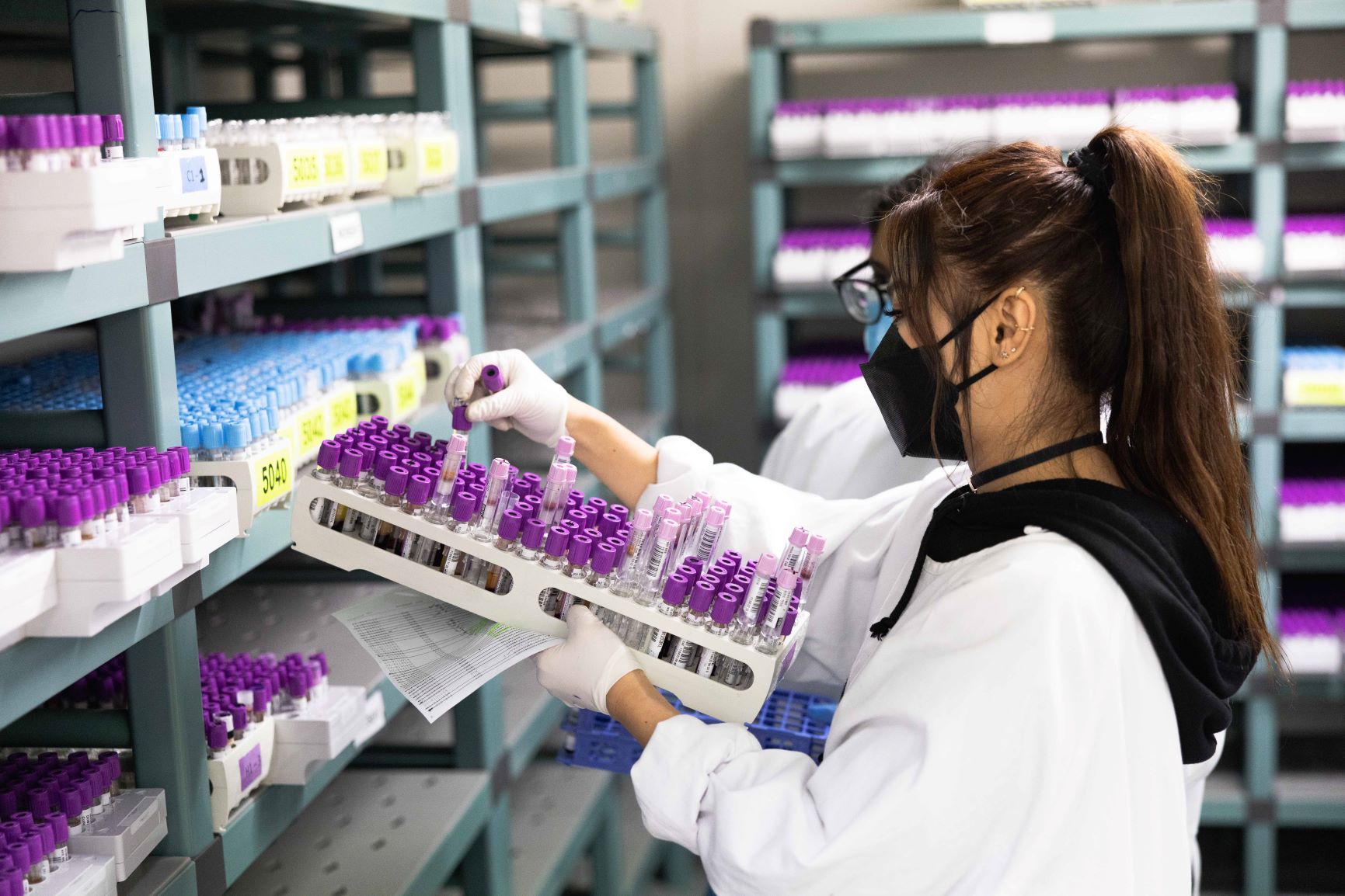 Awanui Labs - Taranaki